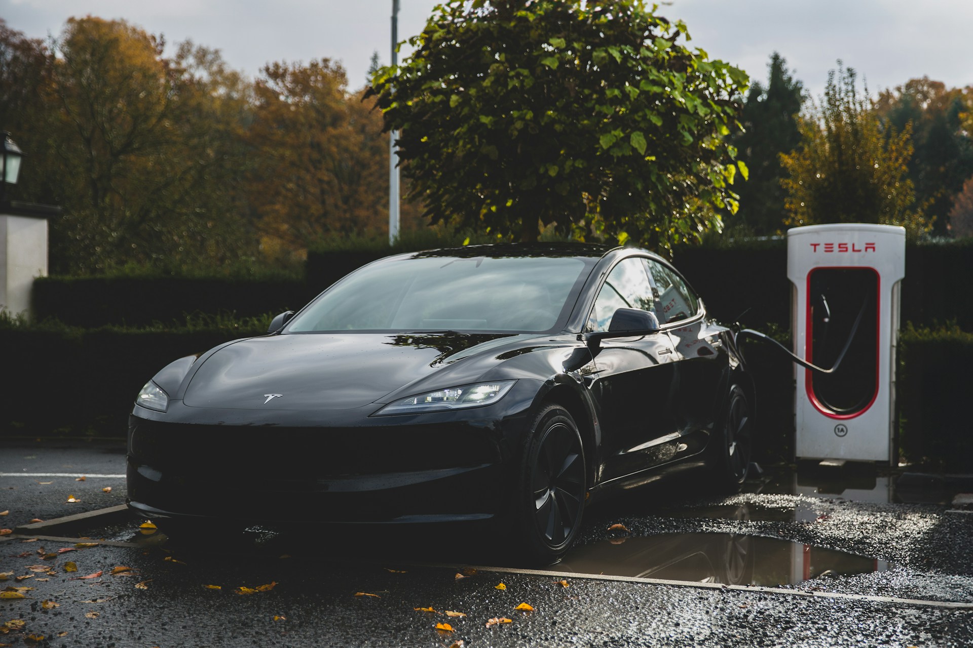 Aldrig før har Tesla tabt så meget, viser nye tal