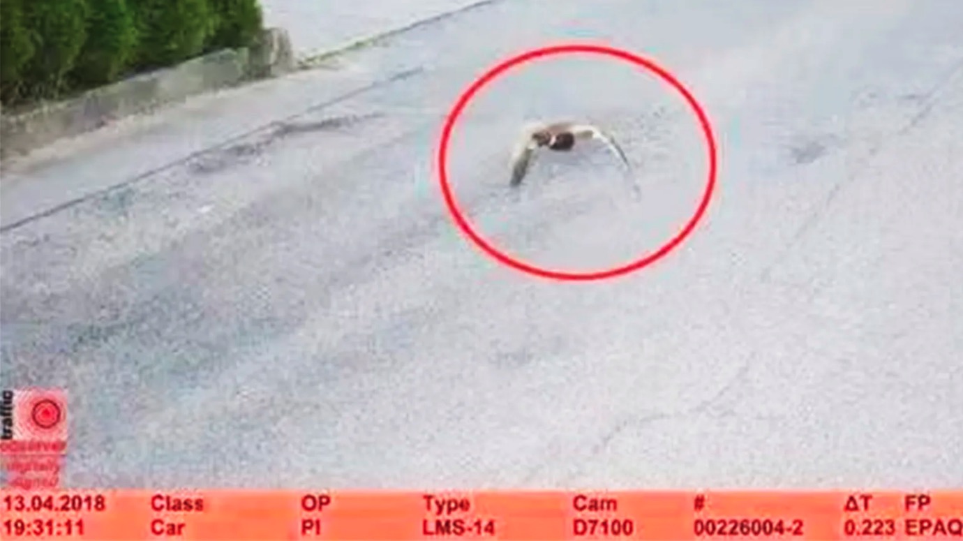 Fotofælde blitzer and i 30-zone for 2. gang