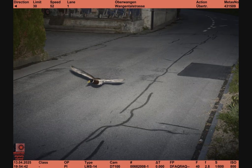 Fotofælde blitzer and i 30-zone for 2. gang